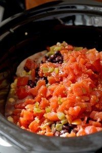 Slow Cooker Fiesta Chicken Recipe - Honey and Birch
