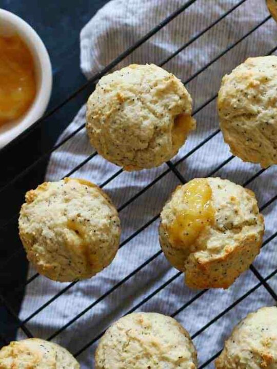 The Thirsty Feast by honey and birch Recipes Straight To Your Kitchen