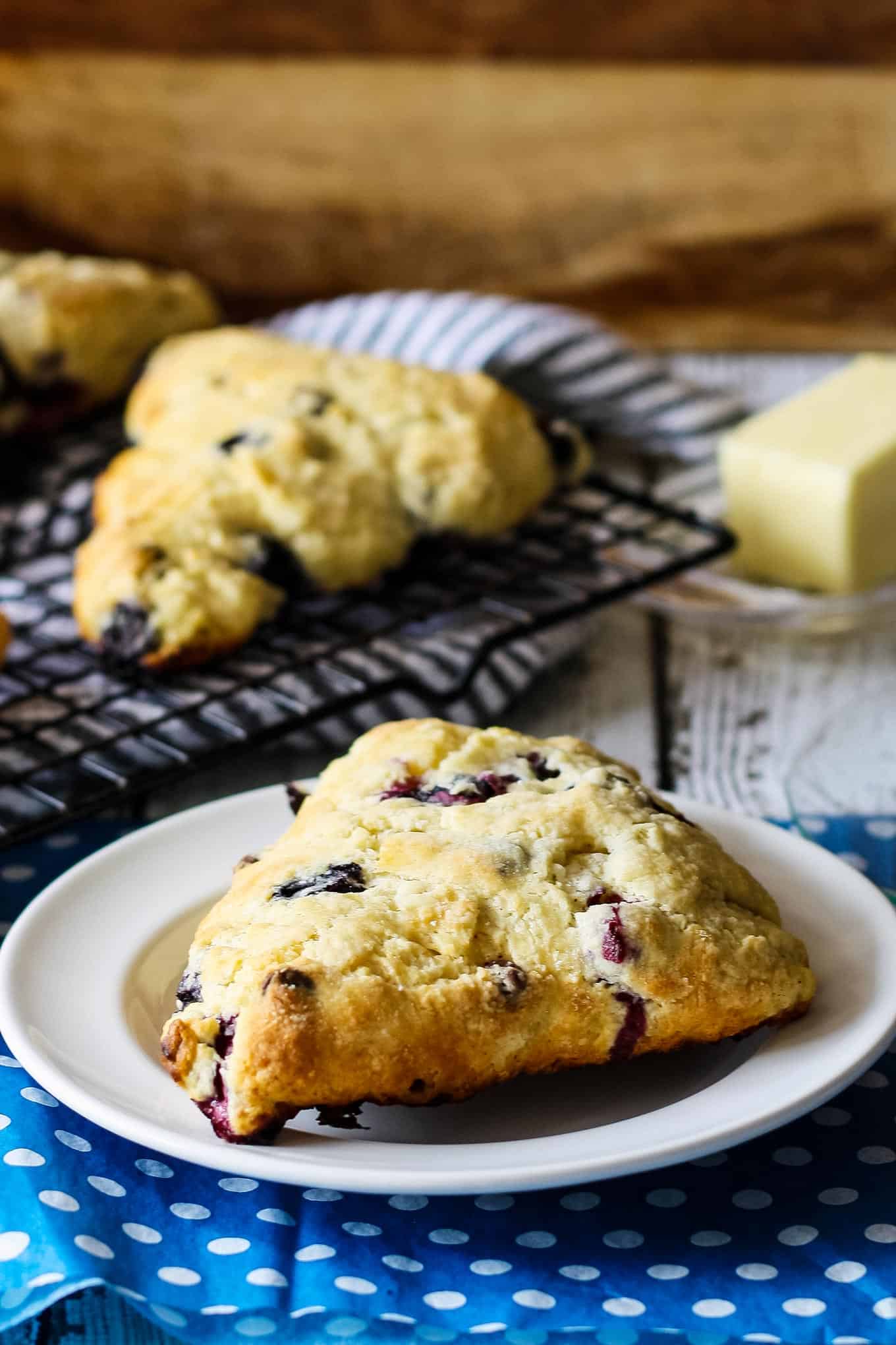 Easy Blueberry Chocolate Scones Recipe » The Thirsty Feast by honey and ...