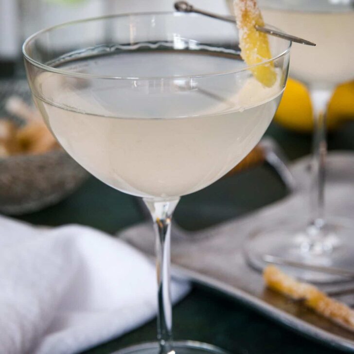 Gin Ginger Martini » The Thirsty Feast by honey and birch